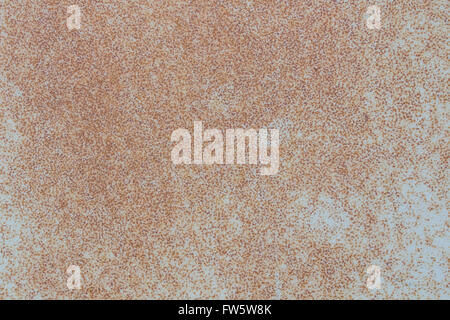 Rust on metal surfaces Caused by a reaction of metal and air humidity ...