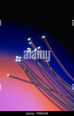 Fiber Optic Strands Glow with Light Stock Photo - Alamy