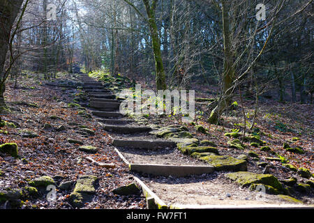 Chevin Steps, at Chevin Forest Park, Otley, West Yorkshire Stock Photo ...