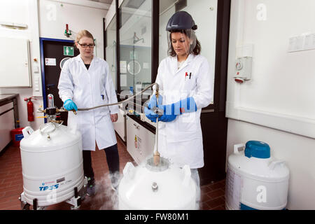 Liquid nitrogen refilling process, chemistry technology background ...