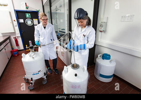 Liquid nitrogen refilling process, chemistry technology background ...