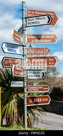 Durrus, Sheep's Head, Co Cork, Ireland, Hereford Cattle Stock Photo - Alamy