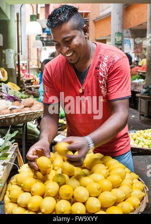 Selection of fresh lemons at market in Italy Stock Photo - Alamy
