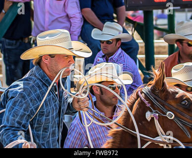 Rodeo cowboys prepare for action at a rodeo in Red Bluff, California ...