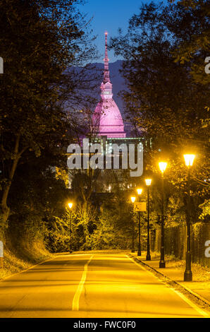 Piedmont - Torino, view with the Mole. Night Stock Photo - Alamy