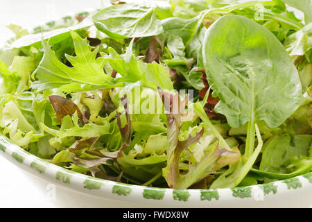 Mixed lettuce leaves Stock Photo - Alamy