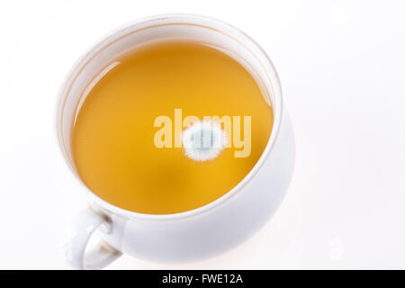 Mold on drink ın a cup.background, fungus bacteria on surface Stock ...