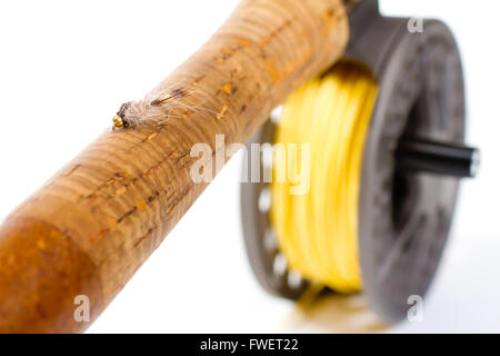 A hares ear bugger nymph is photographed in a lighting studio with a ...
