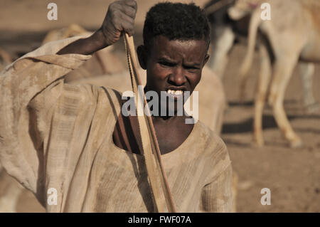 Bayuda desert, Bisharin nomad Stock Photo - Alamy