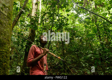 Baka pygmy man hunting in the jungle in the Dzanga-Sangha Special ...