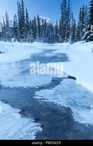 Small mountain stream, Banff National Park Alberta Canada Stock Photo ...
