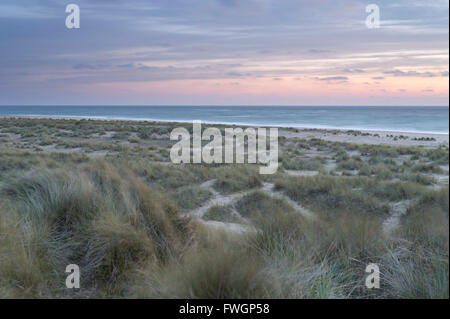 Beach and Dunes at Winterton on Sea Norfolk, England Stock Photo - Alamy