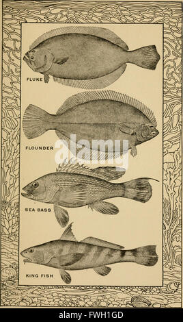 'The Book of Fish and Fishing' (1908) provides a comprehensive guide to ...
