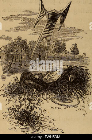 'The Fountain - With Jets of New Meanings' (1870) is a philosophical ...