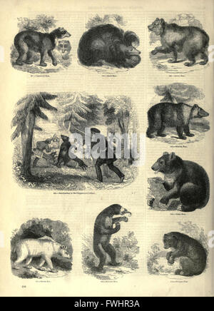 'The Pictorial Museum of Animated Nature' (illustrated) features a ...