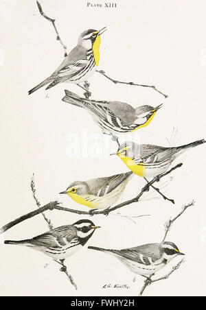 This work provides a detailed study of the warblers found in New ...