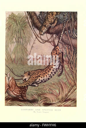 'The Wild Beasts of the World' features an illustration of various wild ...