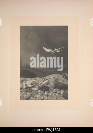 A collection of twenty-five photographs printed using the platinotype ...