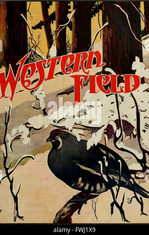 Western Field (1905) highlights the history and development of the ...