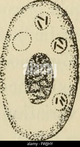 A Romanian scientific bulletin from 1892, covering various research and ...