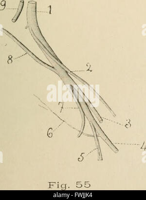 The 'Buletinul Societii de Ciine' (1892) is a Romanian scientific ...