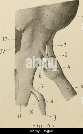 A Romanian scientific bulletin from 1892 to 1911, focusing on research ...