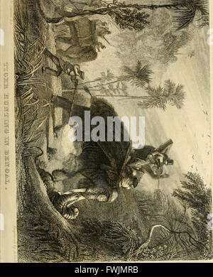 The 1843 edition of the American Turf Register and Sporting Magazine ...