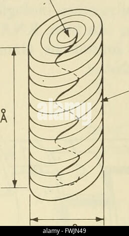'Biophysical Science' (1962) explores the intersection of biology and ...