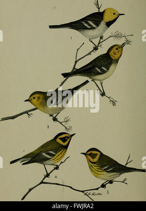 'Bird Lore' (1904) is a publication focused on birdwatching, natural ...