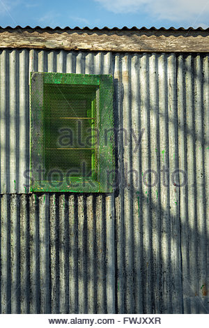 An old window on a corrugated metal building Stock Photo: 309960945 - Alamy