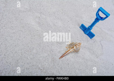 Marine shell and blue scoop on a grey sand background Stock Photo - Alamy