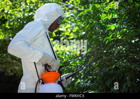 Man doing pest control Stock Photo - Alamy