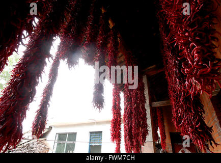 Lushi County of Henan Province dry red pepper,China Stock Photo - Alamy