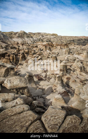 Rock formations, Bisti Badlands, San Juan County, New Mexico, USA Stock ...