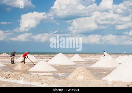 Wayuu men working at Manaure salt mine at La Guajira, Colombia Stock ...