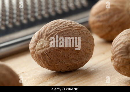 Single nutmeg kernel close up Stock Photo - Alamy