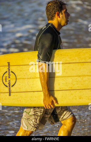 A tired male surfer carrying his surfboard after a surfing session at ...