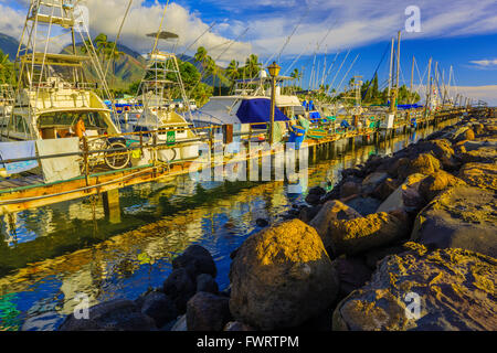 Harbor with yachts and sailboats at Maui Hawaii Stock Photo - Alamy