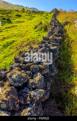 Stone fence and pasture, Maui, Hawaii, USA Stock Photo - Alamy