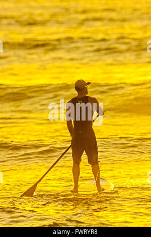 Paddleboarding, Maui, Hawaii, USA Stock Photo - Alamy
