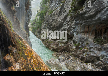 Gorge of river Cares, Cain, Leon, Spain. Picos de Europa National Park ...