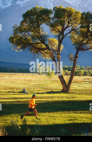 Lone athlete trail running in the hills of the Eastern Sierra Mountains ...