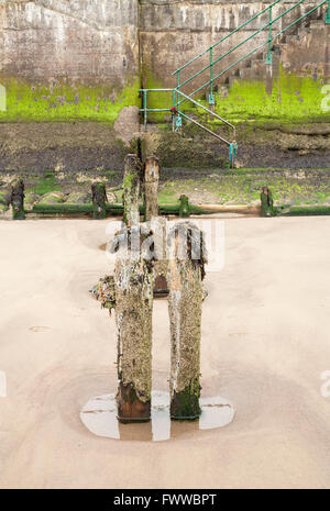The Groynes, Sandsend beach near Whitby, North Yorkshire Coast Stock ...