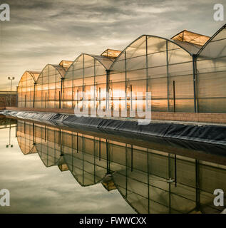 A greenhouse in El Ejido (Spain) where the irrigation system was put ...