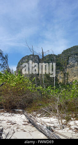 limestone rocks on thai island poda Stock Photo - Alamy