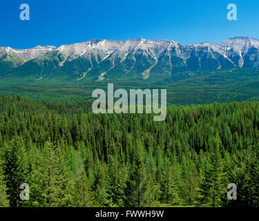 swan range above the upper clearwater river basin near seeley lake ...