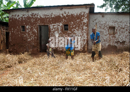 Children threshing the bean crop with sticks in front of their house ...