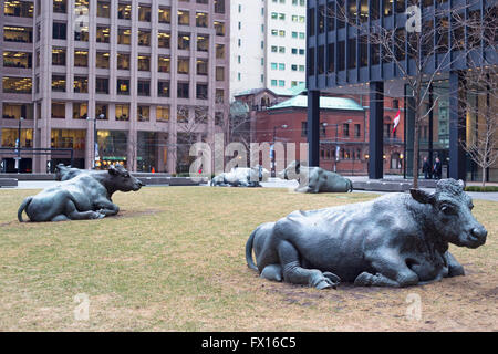 Life sized cow, public art in Toronto's financial district known as The ...