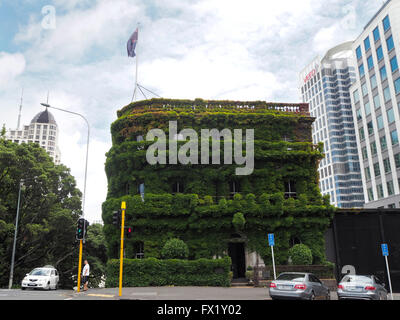 The Northern Club building covered in Virginia Creeper in Auckland, New ...