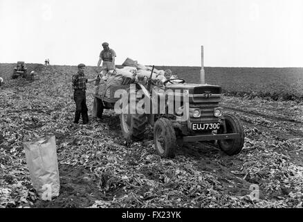 Harvesting harvest farm farming 1960s britain british combine harvester ...